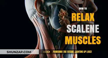 Effective Techniques To Relax Your Puborectalis Muscle For Comfort And ...