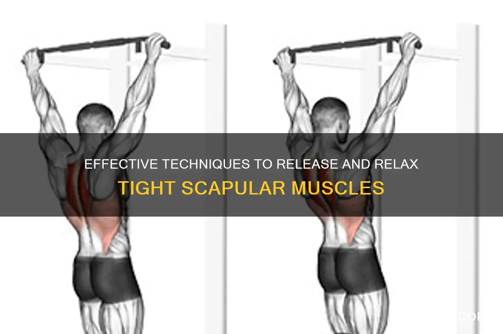 Effective Techniques To Release And Relax Tight Scapular Muscles | CyVigor