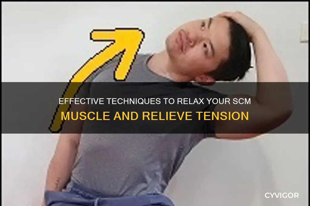 Effective Techniques To Relax Your Scm Muscle And Relieve Tension | CyVigor