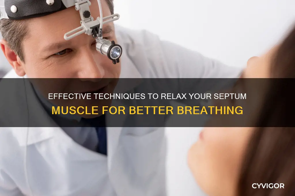 Effective Techniques To Relax Your Septum Muscle For Better Breathing ...