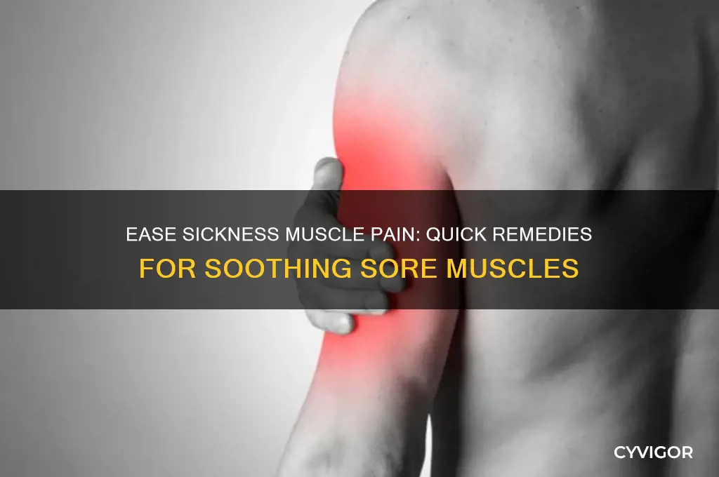 Ease Sickness Muscle Pain: Quick Remedies For Soothing Sore Muscles ...