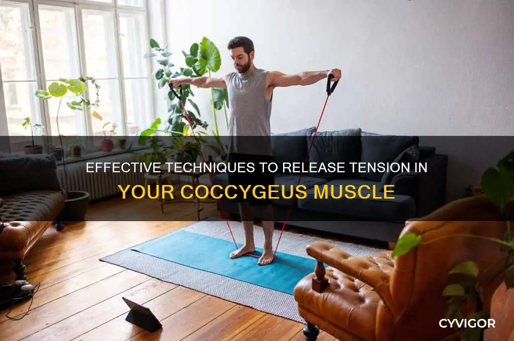 Effective Techniques To Release Tension In Your Coccygeus Muscle | CyVigor