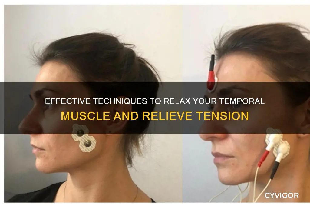 Effective Techniques To Relax Your Temporal Muscle And Relieve Tension ...