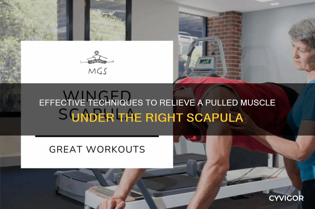 Effective Techniques To Relieve A Pulled Muscle Under The Right Scapula ...