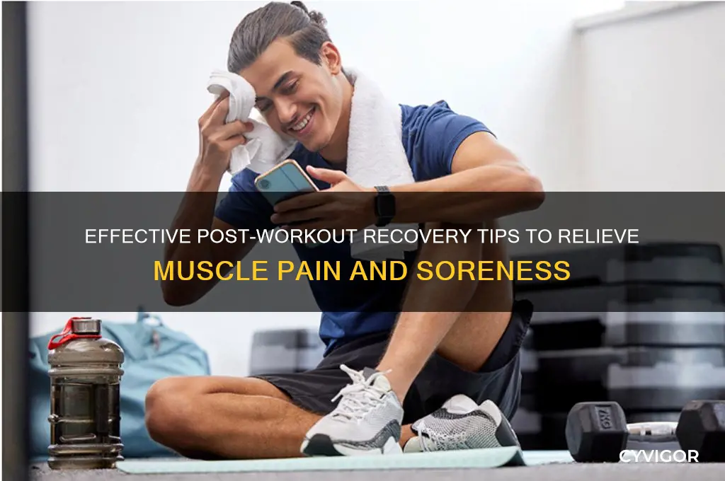 Effective Post-Workout Recovery Tips To Relieve Muscle Pain And ...