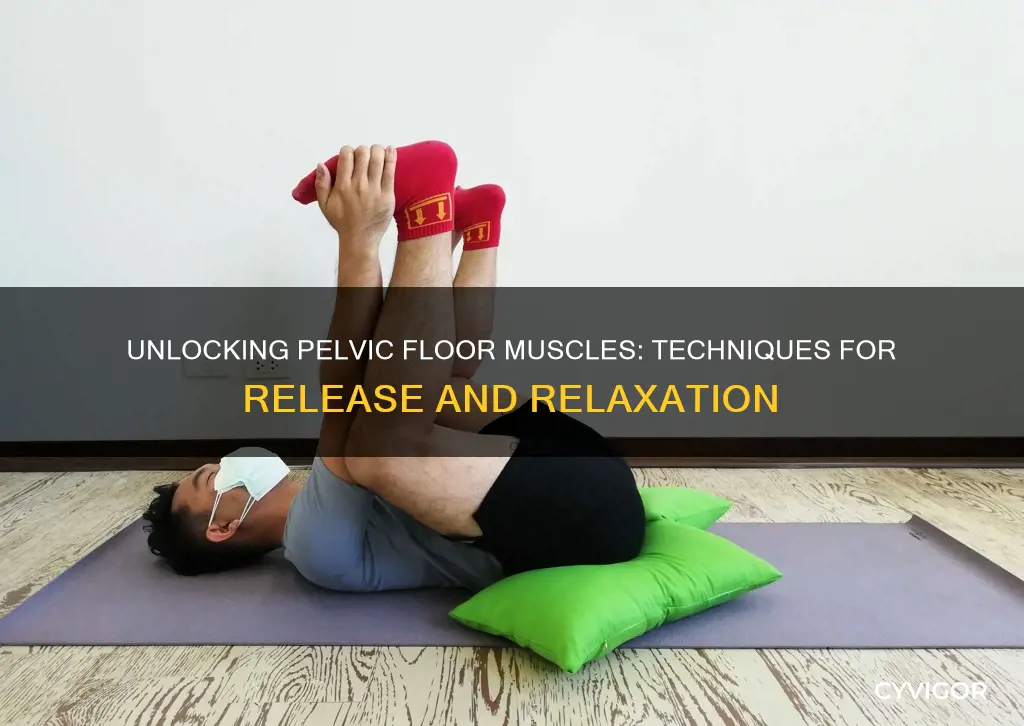 Unlocking Pelvic Floor Muscles: Techniques For Release And Relaxation ...