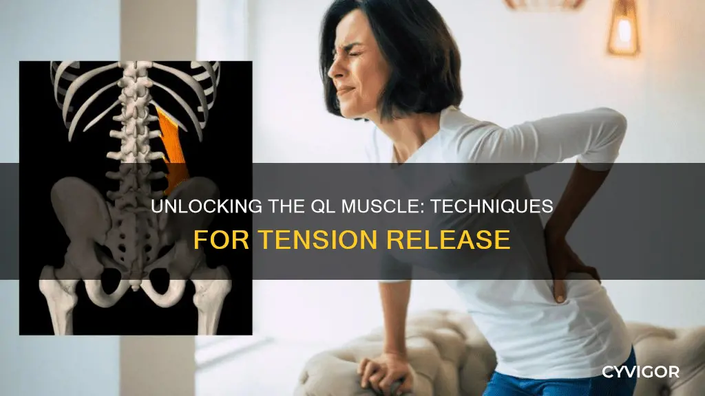 Unlocking The Ql Muscle: Techniques For Tension Release | CyVigor
