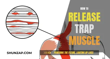 Unlocking The Popliteus Muscle: Techniques For Release And Relief | CyVigor