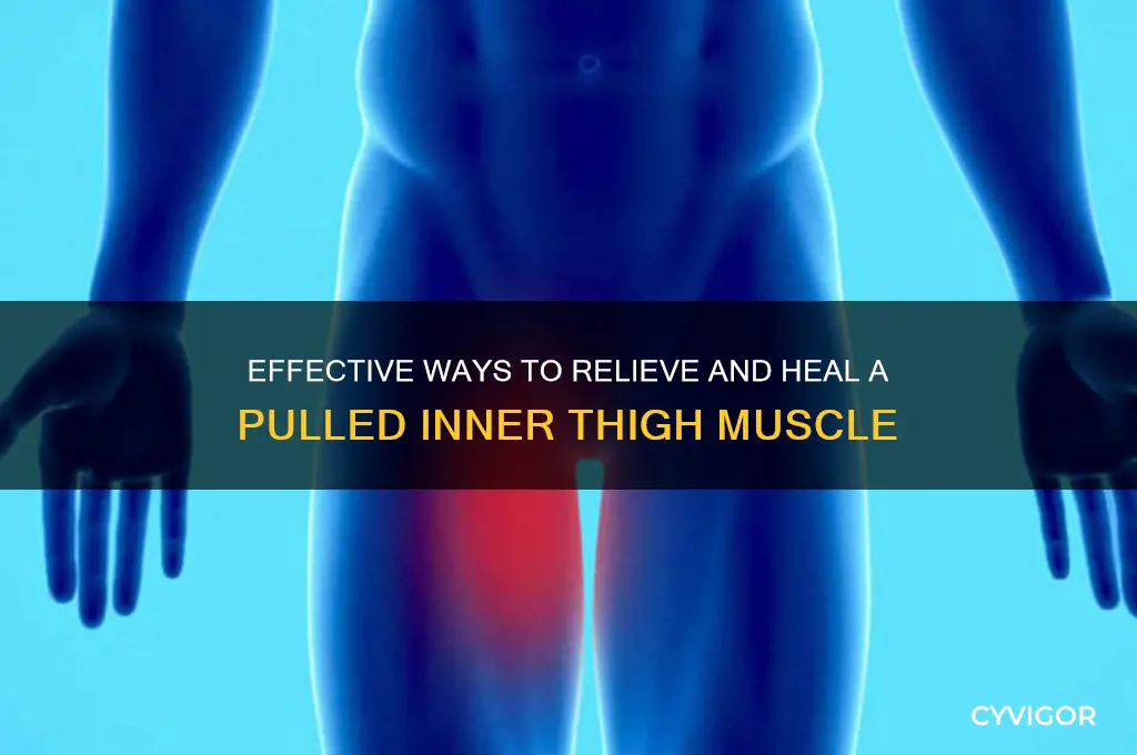Effective Ways To Relieve And Heal A Pulled Inner Thigh Muscle | CyVigor