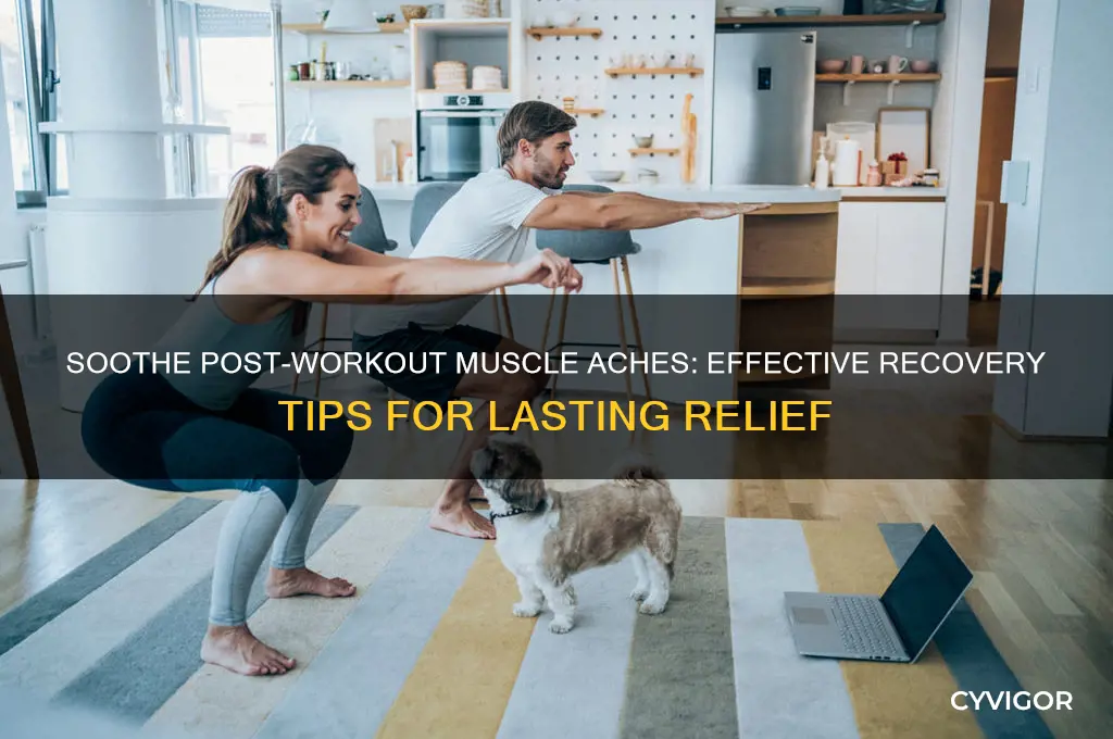 Soothe Post-Workout Muscle Aches: Effective Recovery Tips For Lasting ...