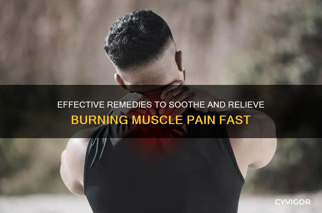Effective Remedies To Soothe And Relieve Burning Muscle Pain Fast | CyVigor
