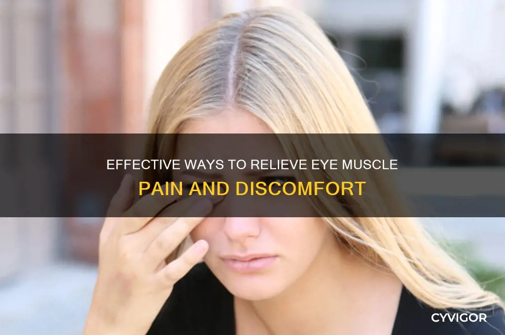 Effective Ways To Relieve Eye Muscle Pain And Discomfort | CyVigor