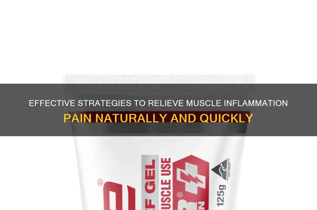 Effective Strategies To Relieve Muscle Inflammation Pain Naturally And ...