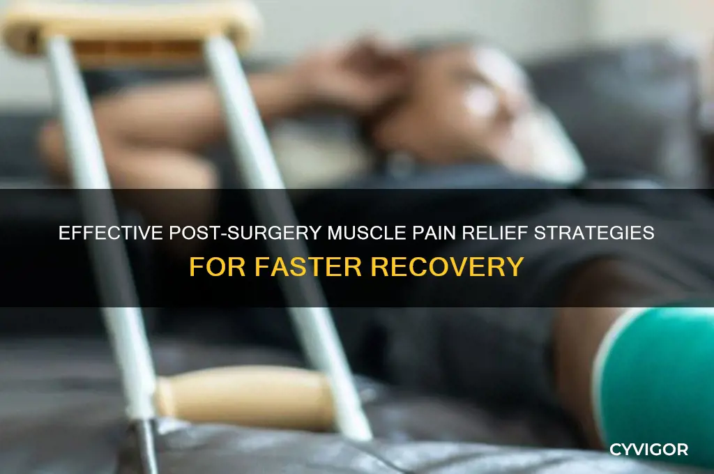 Effective Post-Surgery Muscle Pain Relief Strategies For Faster ...