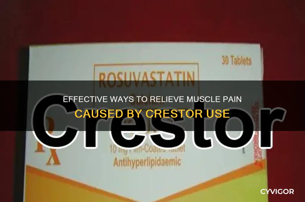 Effective Ways To Relieve Muscle Pain Caused By Crestor Use | CyVigor