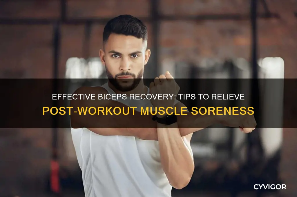 Effective Biceps Recovery: Tips To Relieve Post-Workout Muscle Soreness ...