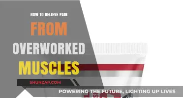 Effective Techniques To Relieve Iliocostalis Muscle Pain And Discomfort ...