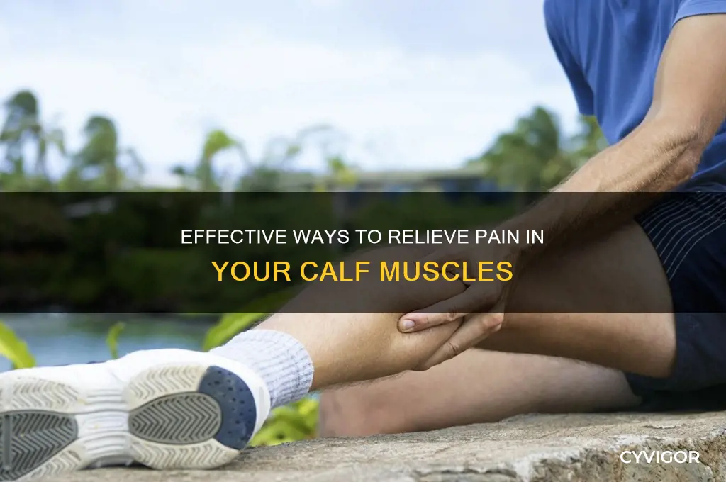 Effective Ways To Relieve Pain In Your Calf Muscles | CyVigor