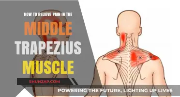 Effective Techniques To Relieve Iliocostalis Muscle Pain And Discomfort ...