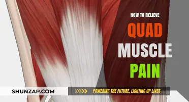 Effective Techniques To Relieve Omohyoid Muscle Pain And Discomfort ...