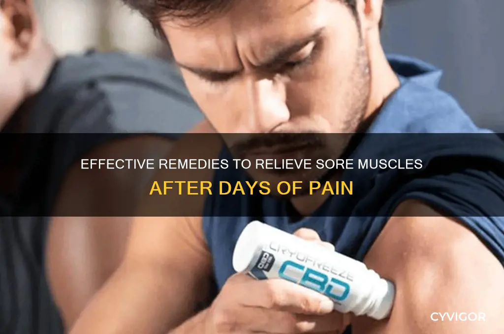 Effective Remedies To Relieve Sore Muscles After Days Of Pain | CyVigor
