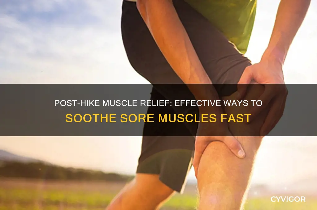Post-Hike Muscle Relief: Effective Ways To Soothe Sore Muscles Fast ...