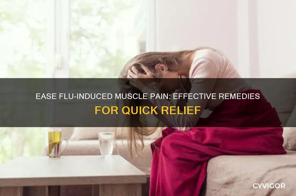 Ease Flu-Induced Muscle Pain: Effective Remedies For Quick Relief | CyVigor