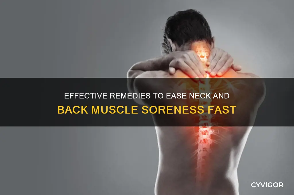 Effective Remedies To Ease Neck And Back Muscle Soreness Fast | CyVigor