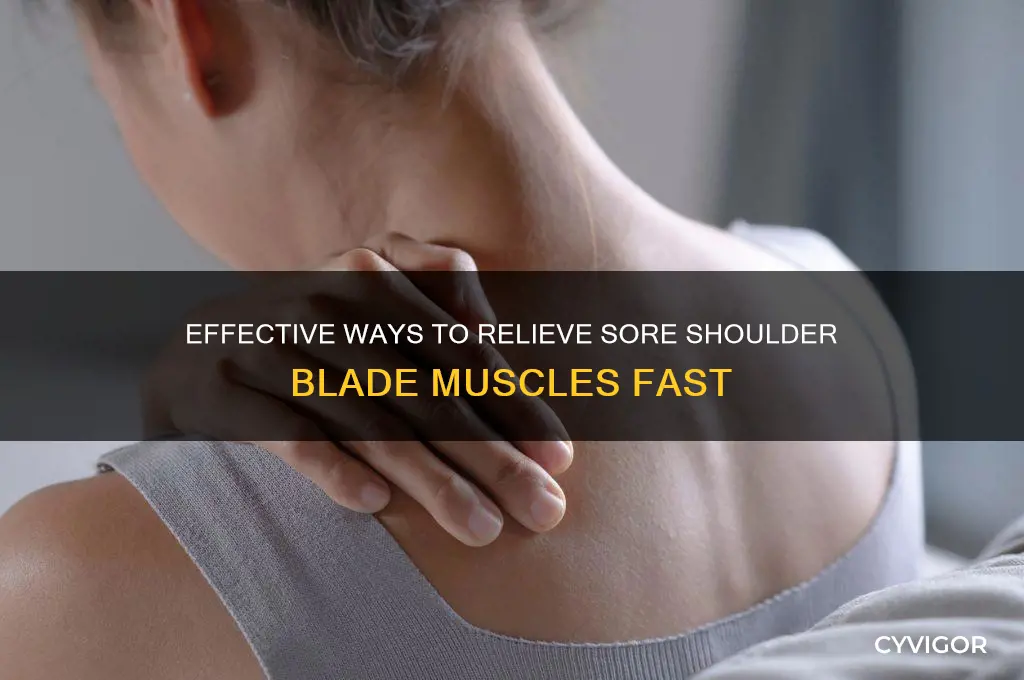 Effective Ways To Relieve Sore Shoulder Blade Muscles Fast | CyVigor