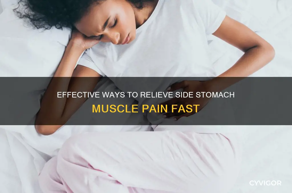 Effective Ways To Relieve Side Stomach Muscle Pain Fast | CyVigor