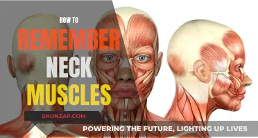 Wrist Muscles: Easy Tricks To Remember Their Names And Functions | CyVigor
