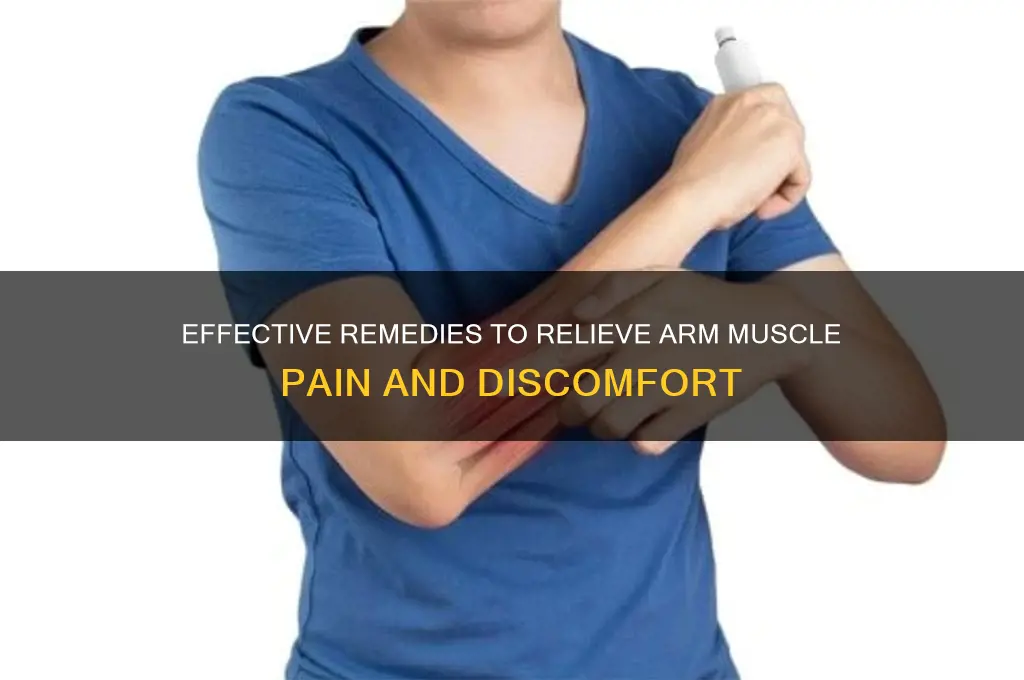 Effective Remedies To Relieve Arm Muscle Pain And Discomfort | CyVigor