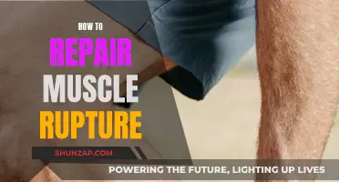 Repairing Deltoid Muscle: A Comprehensive Guide To Recovery | CyVigor