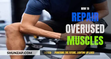 Repairing Psoas Muscle: A Comprehensive Guide To Healing | CyVigor