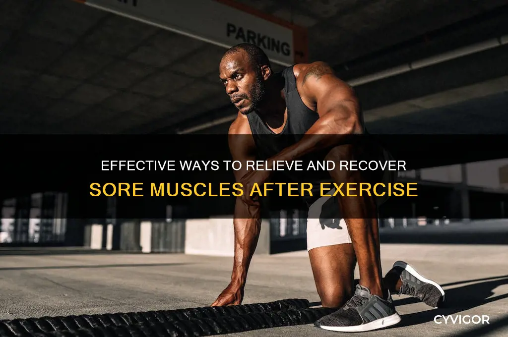 Effective Ways To Relieve And Recover Sore Muscles After Exercise | CyVigor