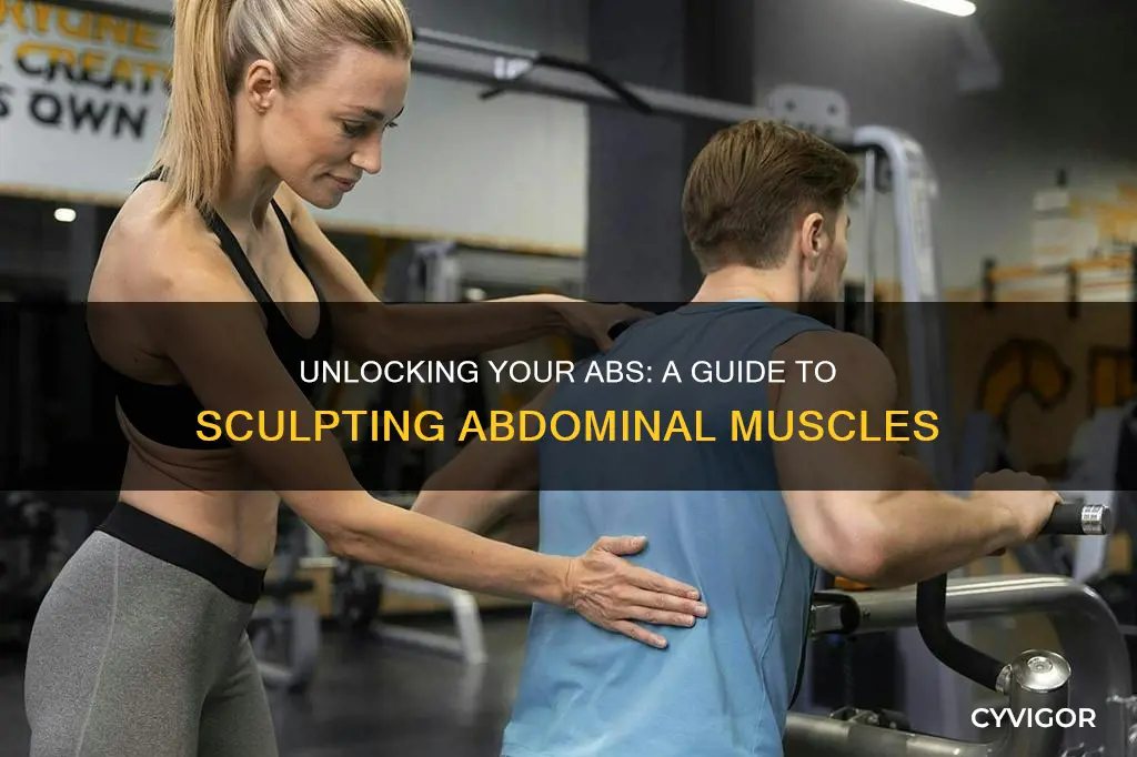 Unlocking Your Abs: A Guide To Sculpting Abdominal Muscles | CyVigor