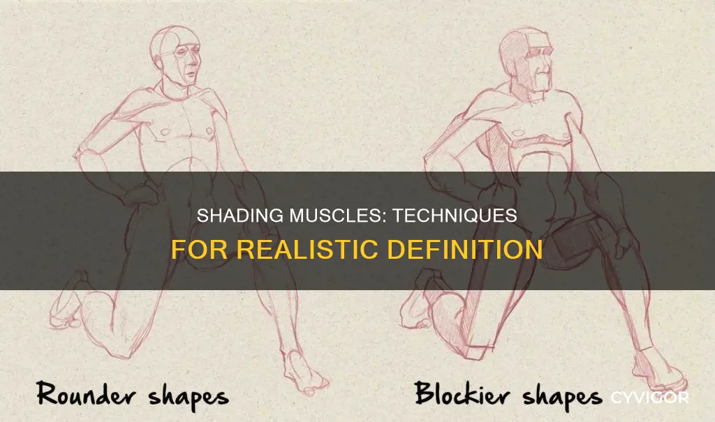 Shading Muscles: Techniques For Realistic Definition | CyVigor