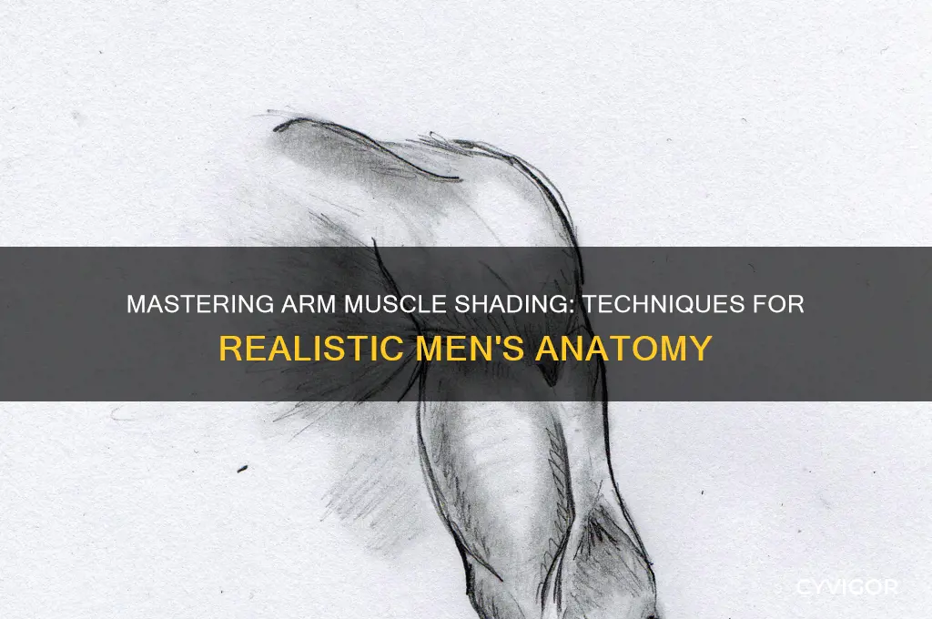 Mastering Arm Muscle Shading: Techniques For Realistic Men's Anatomy ...