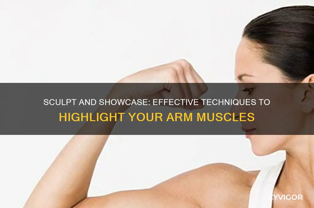 Sculpt And Showcase: Effective Techniques To Highlight Your Arm Muscles ...