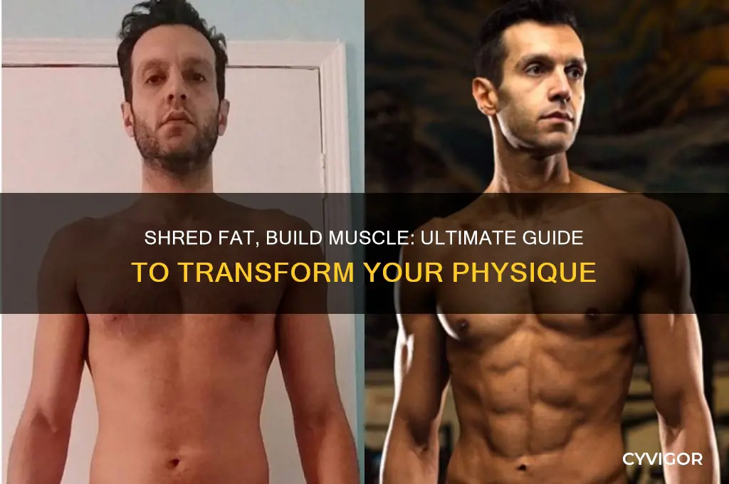 Shred Fat, Build Muscle: Ultimate Guide To Transform Your Physique ...