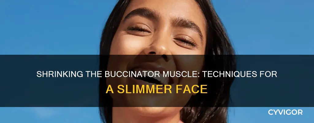 Shrinking The Buccinator Muscle: Techniques For A Slimmer Face | CyVigor