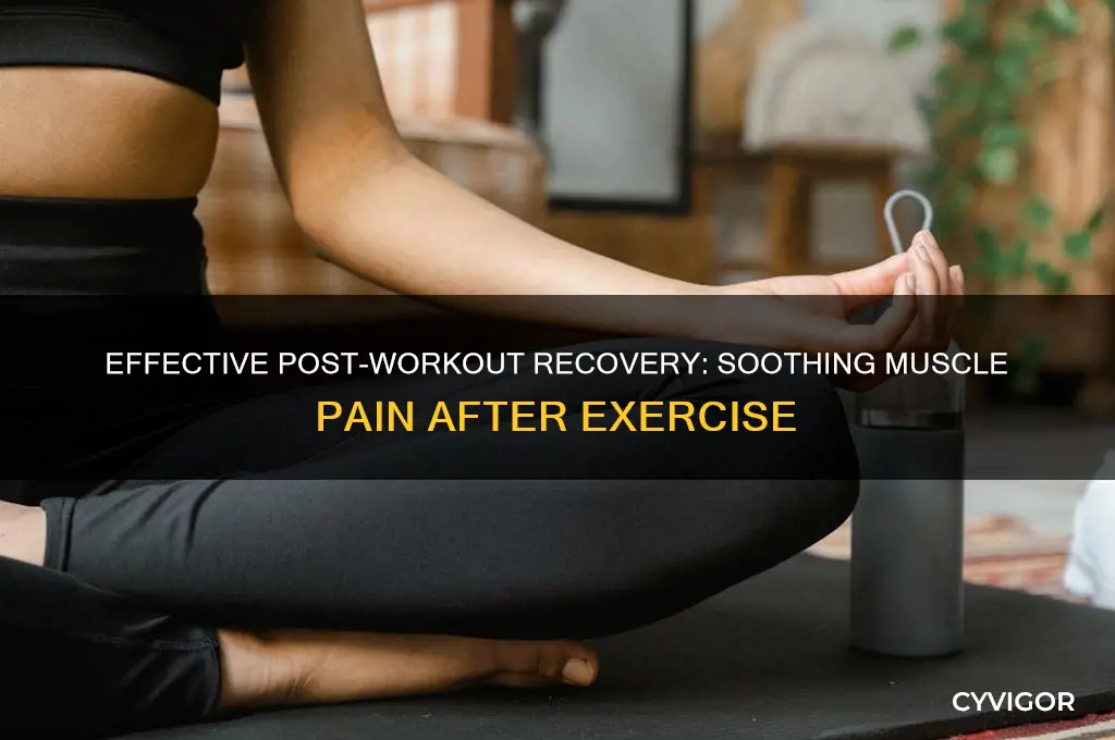 Effective Post-Workout Recovery: Soothing Muscle Pain After Exercise ...