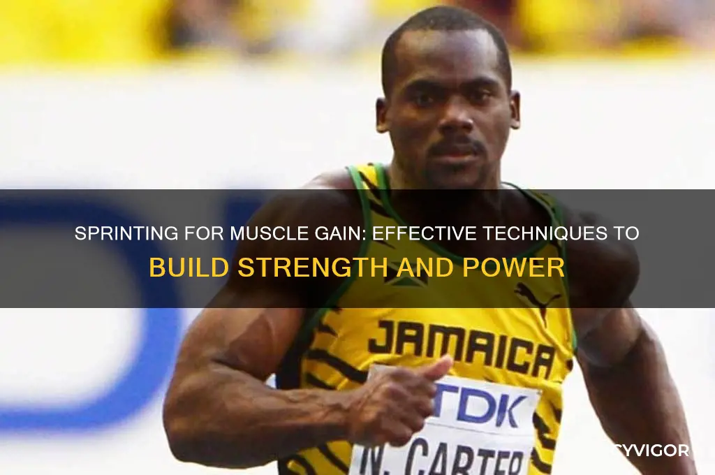 Sprinting For Muscle Gain: Effective Techniques To Build Strength And ...