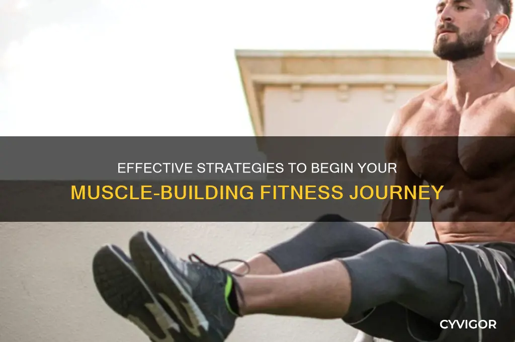 Effective Strategies To Begin Your Muscle-Building Fitness Journey ...