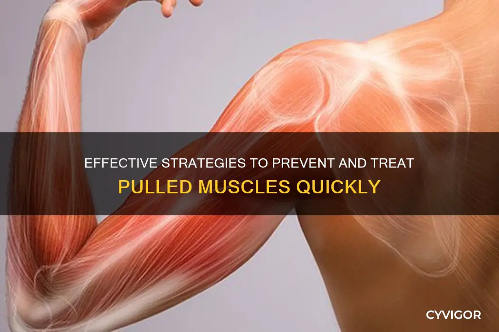 Effective Strategies To Prevent And Treat Pulled Muscles Quickly | CyVigor