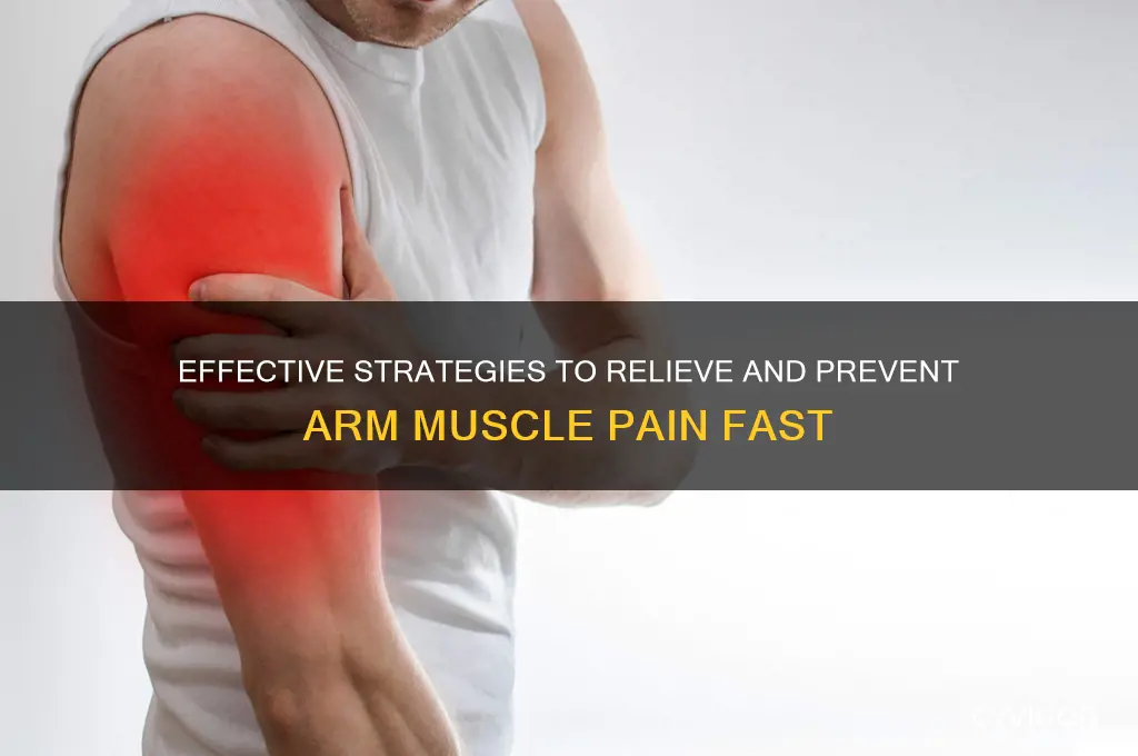 Effective Strategies To Relieve And Prevent Arm Muscle Pain Fast | CyVigor
