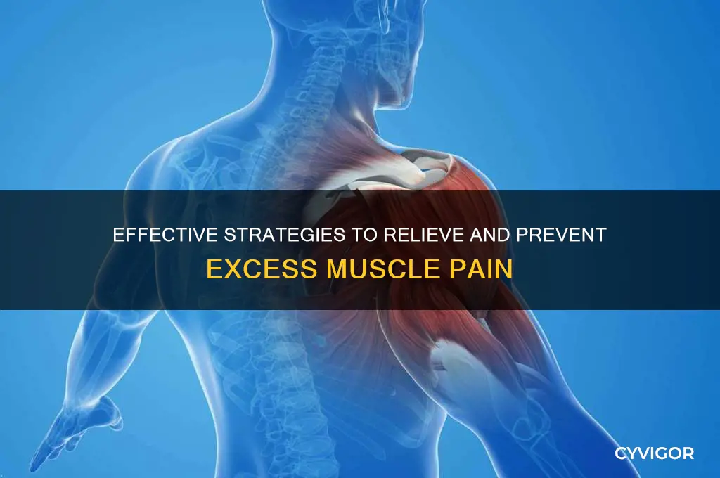 Effective Strategies To Relieve And Prevent Excess Muscle Pain | CyVigor