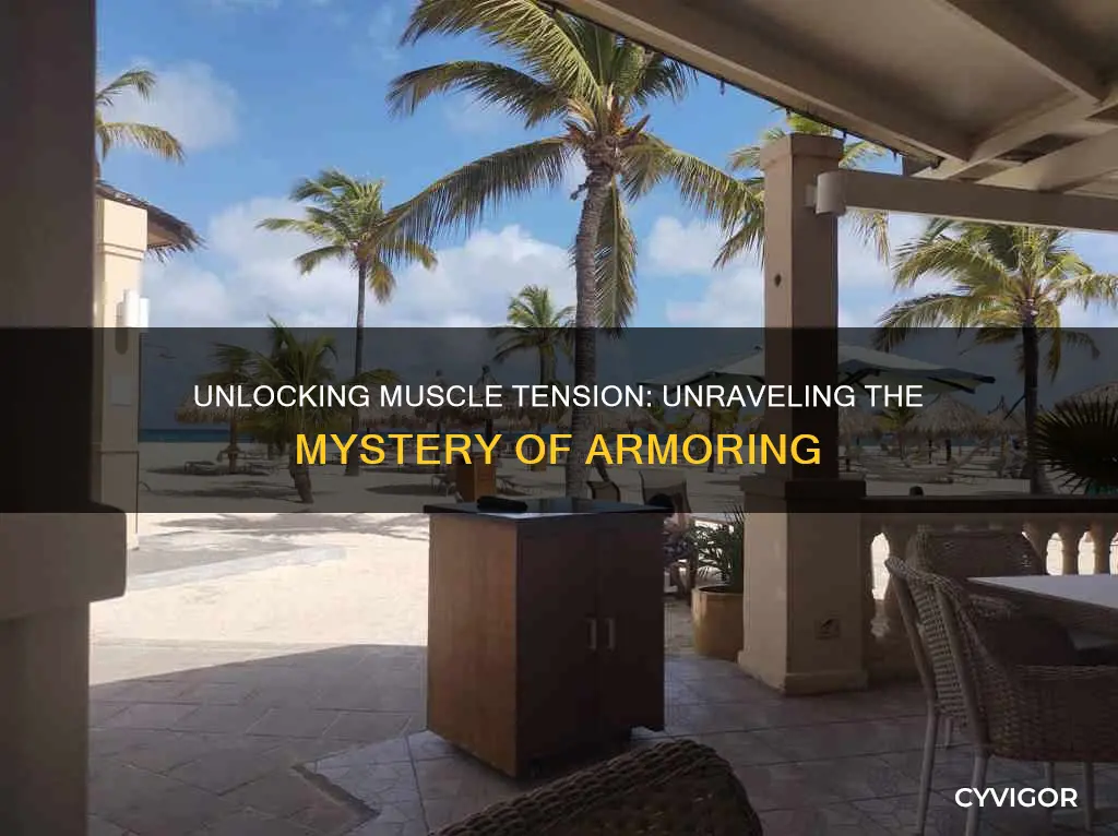 Unlocking Muscle Tension: Unraveling The Mystery Of Armoring | CyVigor