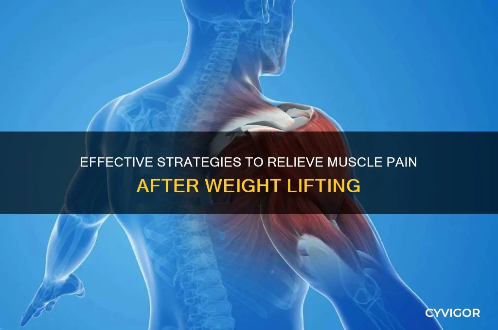 Effective Strategies To Relieve Muscle Pain After Weight Lifting | CyVigor