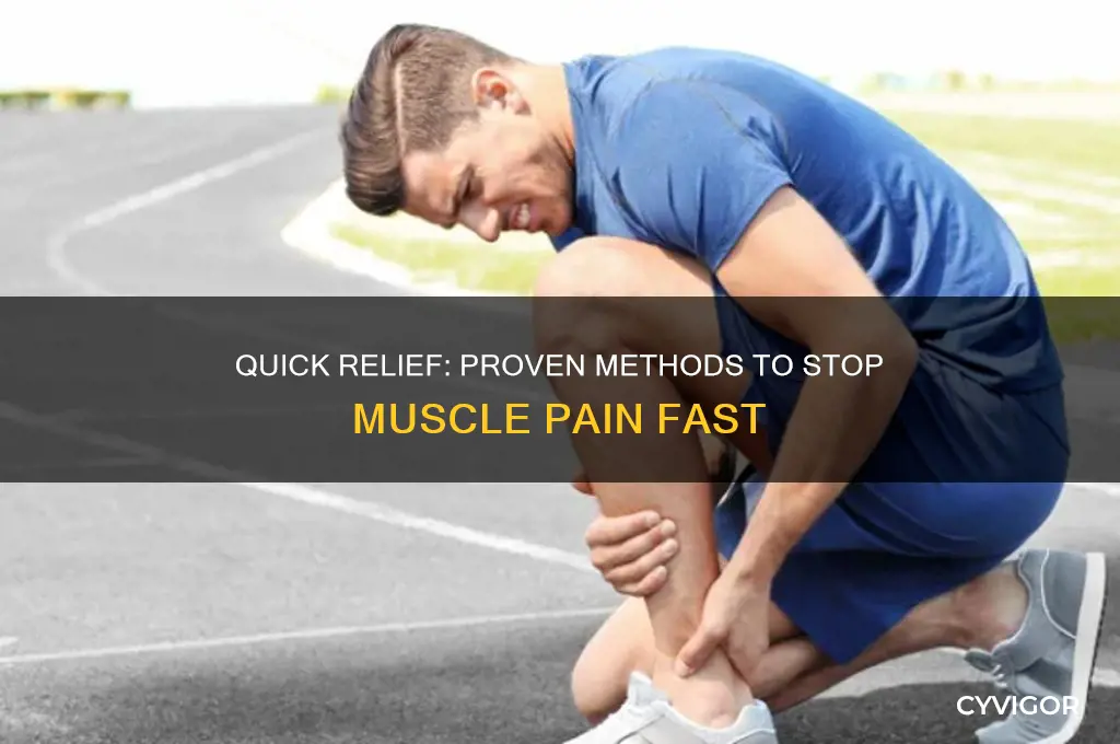 Quick Relief: Proven Methods To Stop Muscle Pain Fast | CyVigor